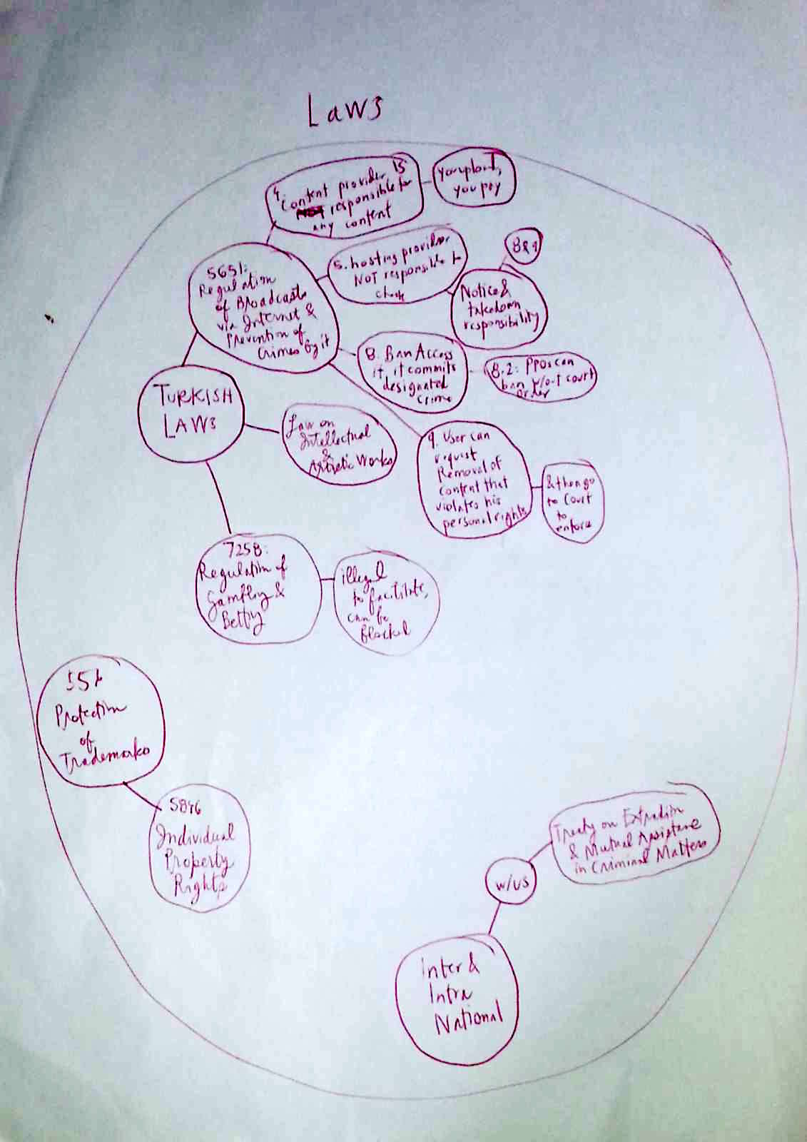 Making sense of the legal system by drawing it (e.g., Turkish internet ...
